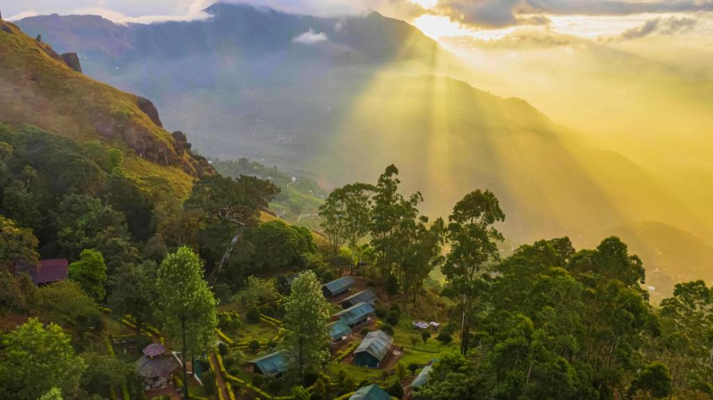 Nature Zone Jungle Resort, Munnar (updated prices 2024)