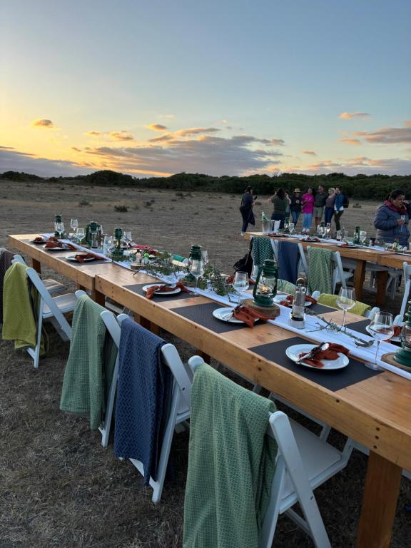 Nyosi Wildlife Reserve, Gqeberha (updated prices 2025)