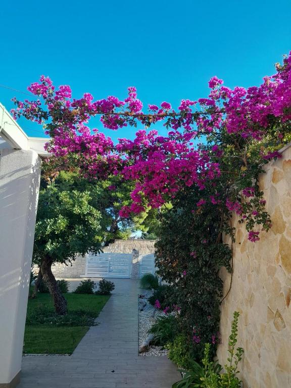 Spirito Santo, Santo Spirito (precios actualizados 2026)