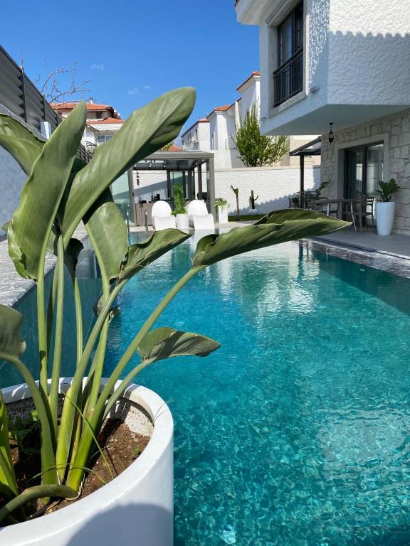 Olea Alaçatı Taş EnginarB2 Konağı, Çeşme (aktualne ceny na rok 2025)