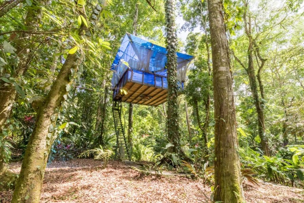 Treehouse Blue Morpho floating w360 view & pool, Puerto Viejo (updated ...