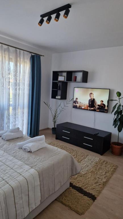 Mosaic Studio, Brasov (precios actualizados 2026)