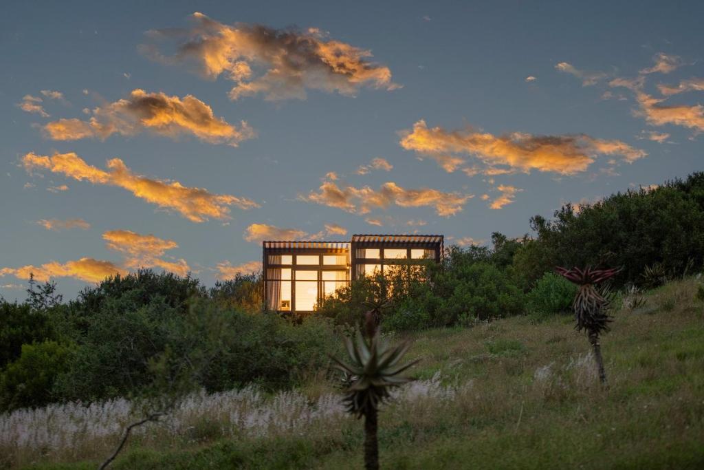Nyosi Wildlife Reserve, Gqeberha (updated prices 2025)