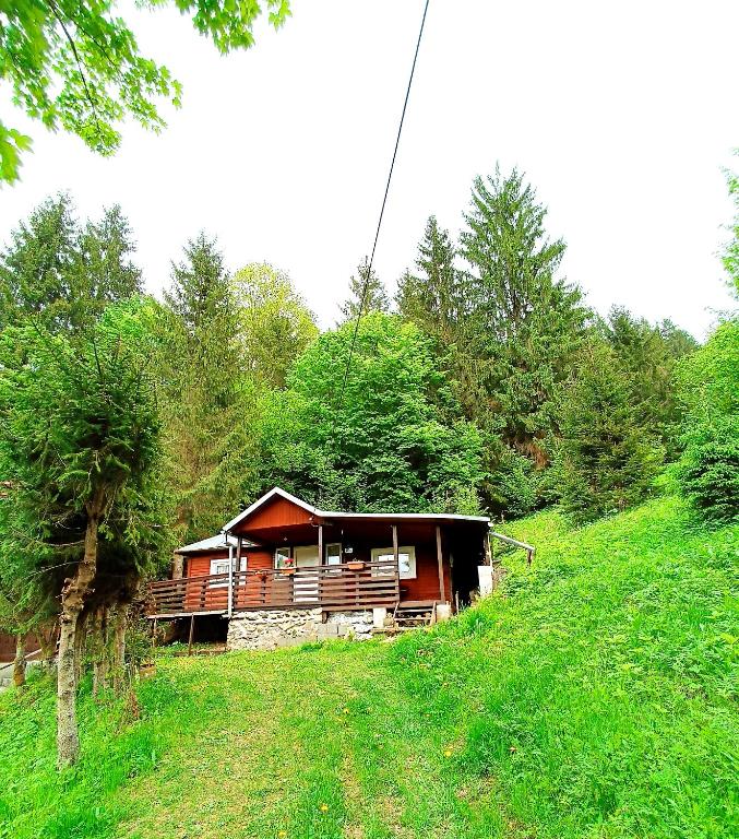 Cabana din padure, Neagra (updated prices 2026)