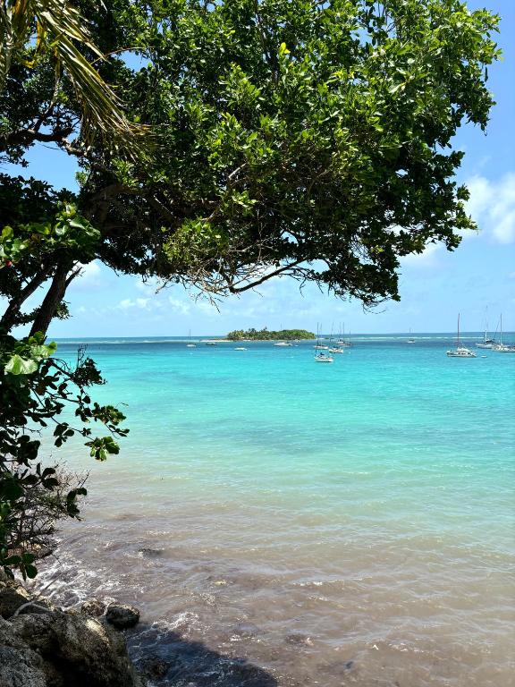 La Perle de la Datcha - A 500m de Plage de la Datcha et du Centre ville ...