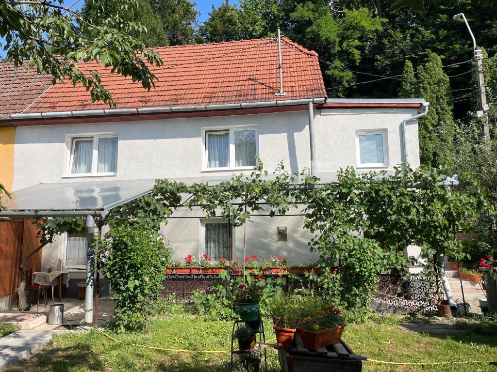 FLH - Casa Gheti, Sighişoara (updated prices 2026)