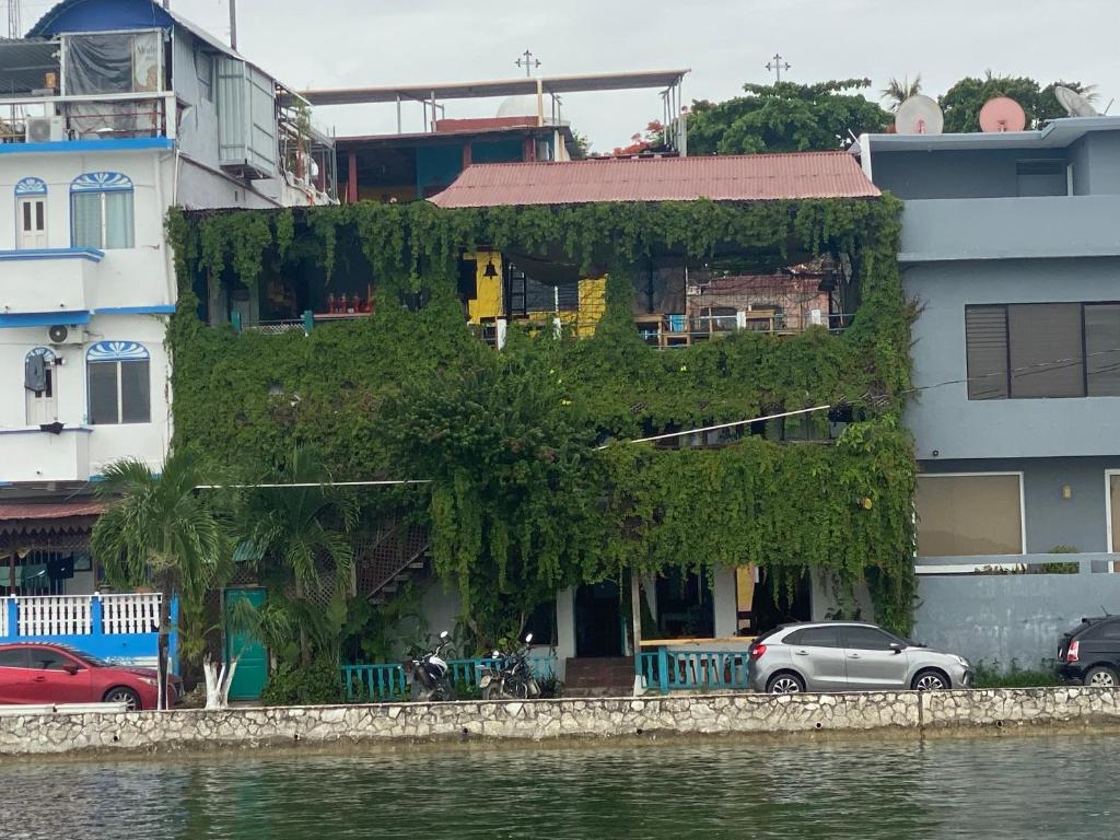 El Paraíso Rico, Flores (prezzi aggiornati per il 2024)