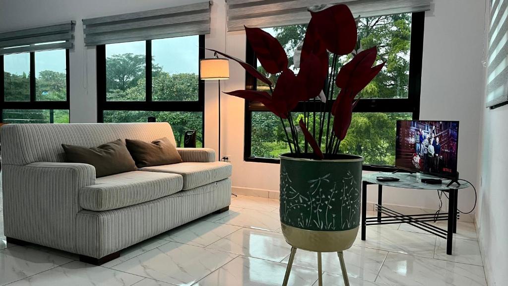 Acogedor apartamento con hermosa vista al volcán - The Goat Spot ...