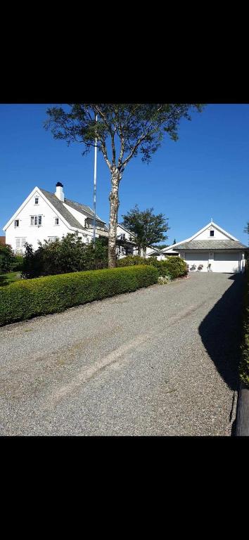 Hognest, Tu (updated prices 2025)