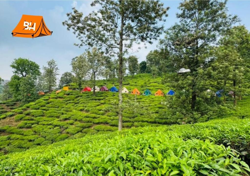 boCHE 1000 Acre, Meppādi (updated prices 2024)