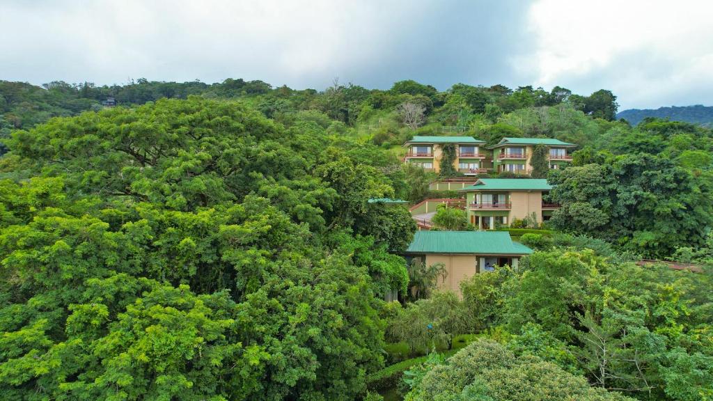 Ficus Sunset Suites, Monteverde Costa Rica (updated prices 2024)
