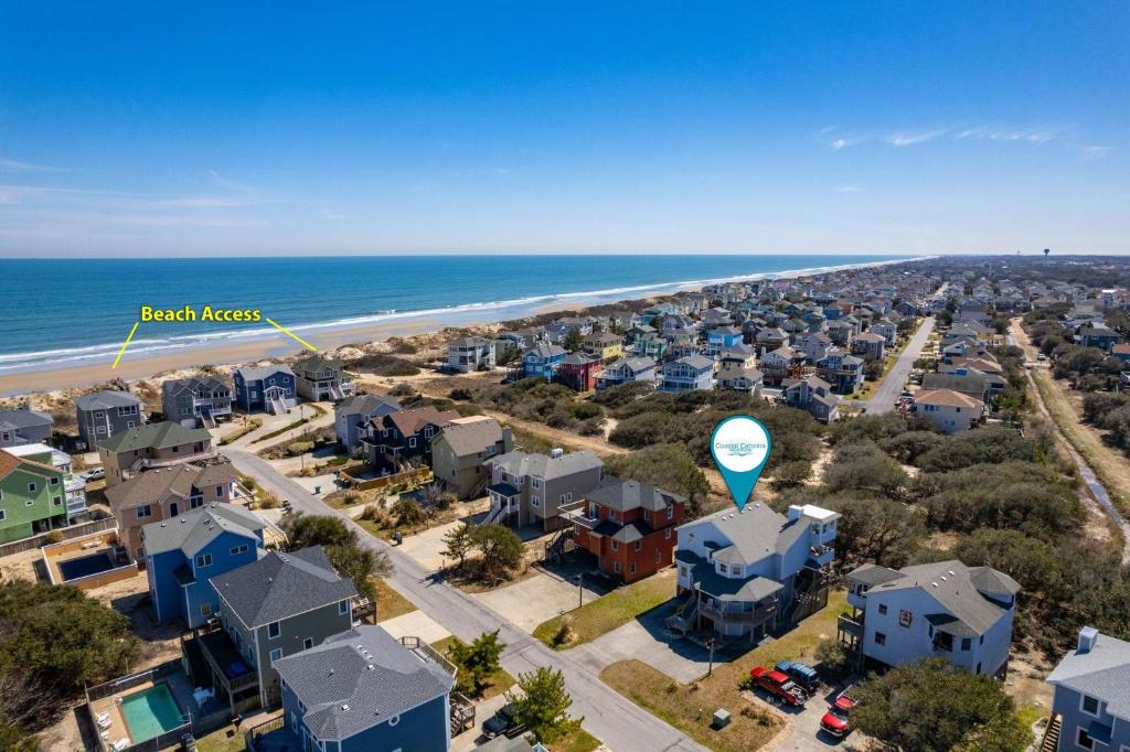 CP33 The Purple Dandelion, Corolla (updated prices 2025)