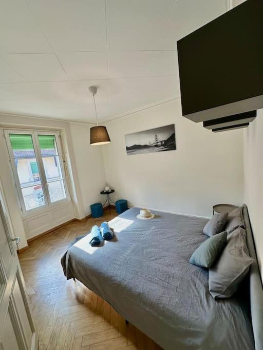 Studio cosy équipé et bien placé, Geneva (updated prices 2025)