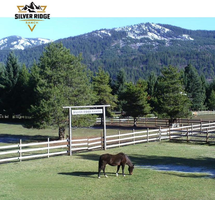 Silver Ridge Ranch Campground, Pine Glen (updated prices 2025)