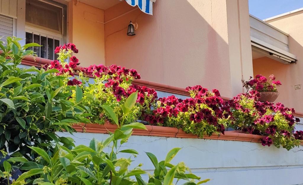 Sea View Apartment Villarosa, Villa Rosa (updated prices 2025)