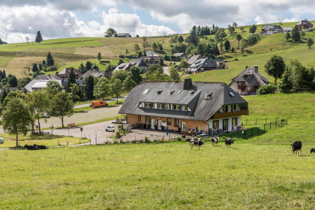 Sport Rees - Ferienwohnung Pia, Hofsgrund (aktualisierte Preise für 2025)