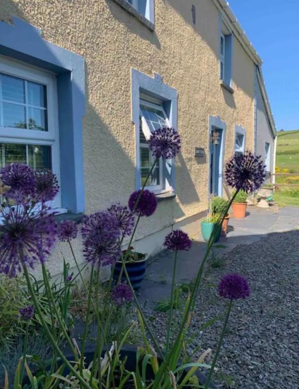 Drws Y Coed, Tal-gareg (updated prices 2025)