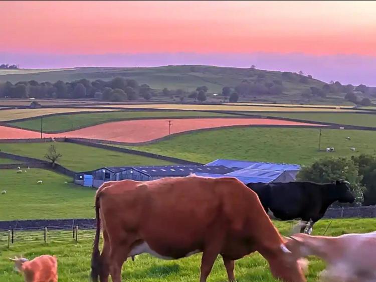 Sweet knoll bell tent, Peak Forest (updated prices 2025)