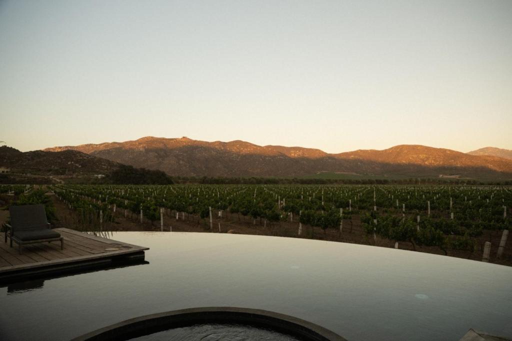 Bruma Wine Resort, Valle de Guadalupe (updated prices 2025)