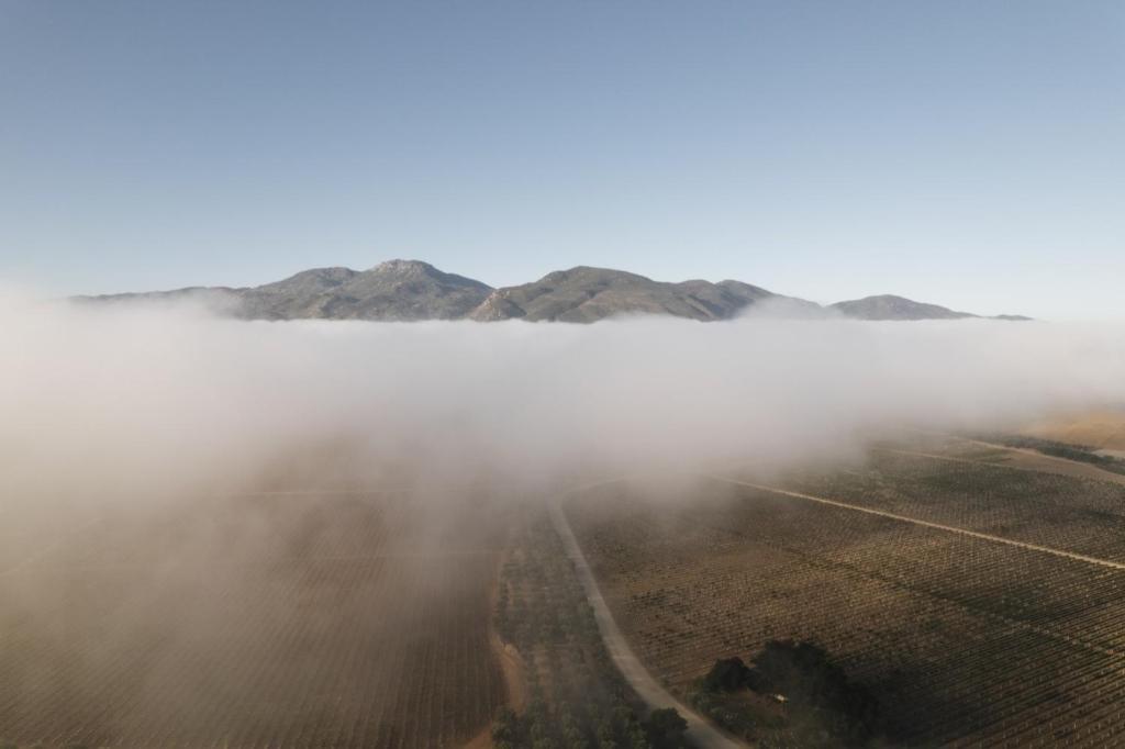 Bruma Wine Resort, Valle de Guadalupe (updated prices 2025)