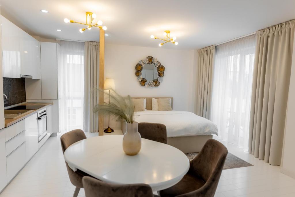 Studio Vivo Residence, Baia Mare (updated prices 2025)