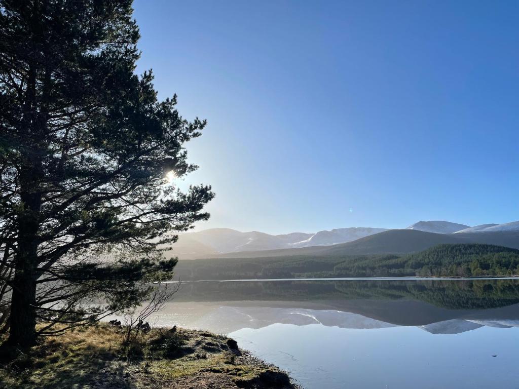 Alvie Holiday Home - Aviemore Holiday Park, Aviemore (updated prices 2026)