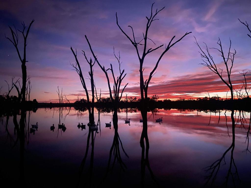 Boshack Outback Farmstay - Perth Eco Farm, Bolgart (updated prices 2024)