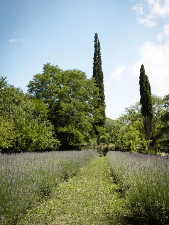 Glamping Dragonja River, Šmarje (updated prices 2025)