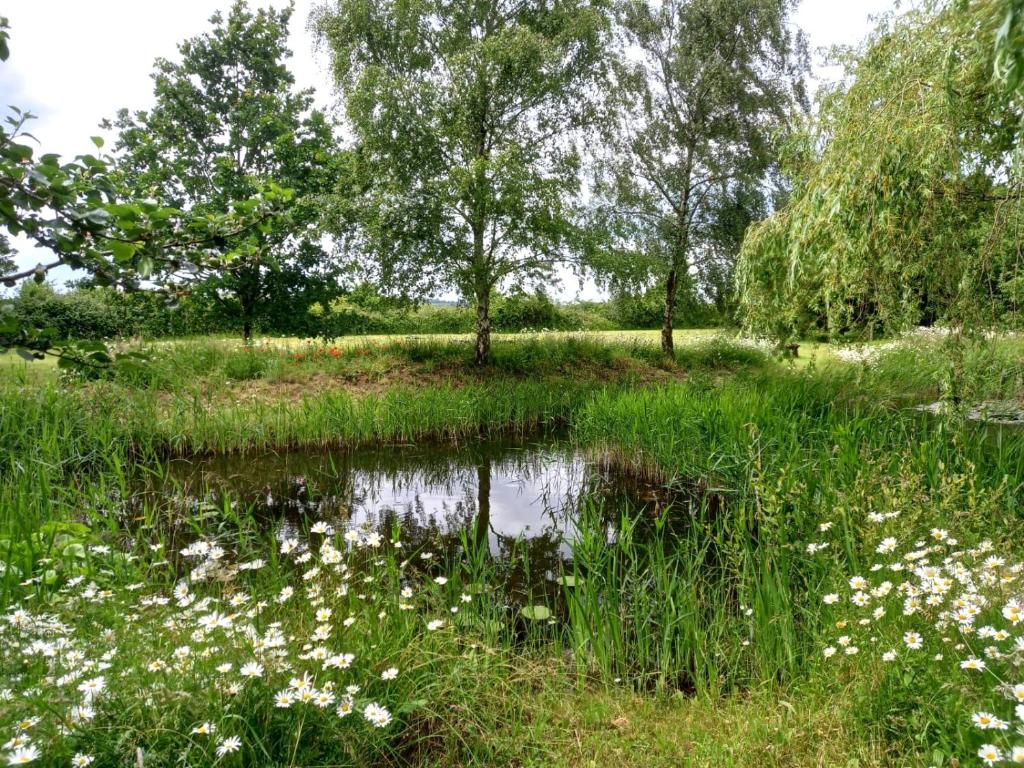 Rustic Retreat Guest Lodge, Littleport (updated prices 2024)