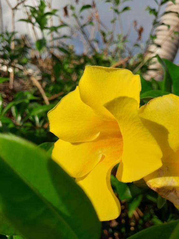 New Mavida Lodge, Levuka (updated prices 2025)