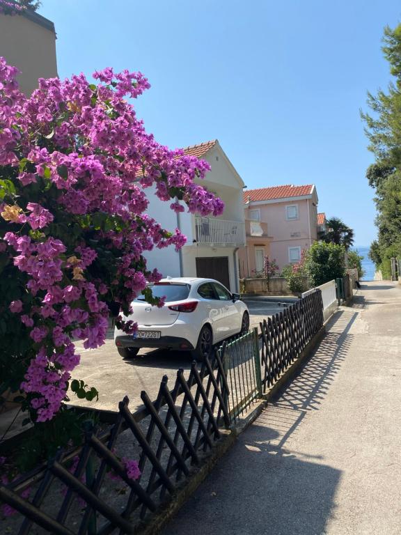 Apartman Bari Petrcane, Petrcane (updated prices 2026)