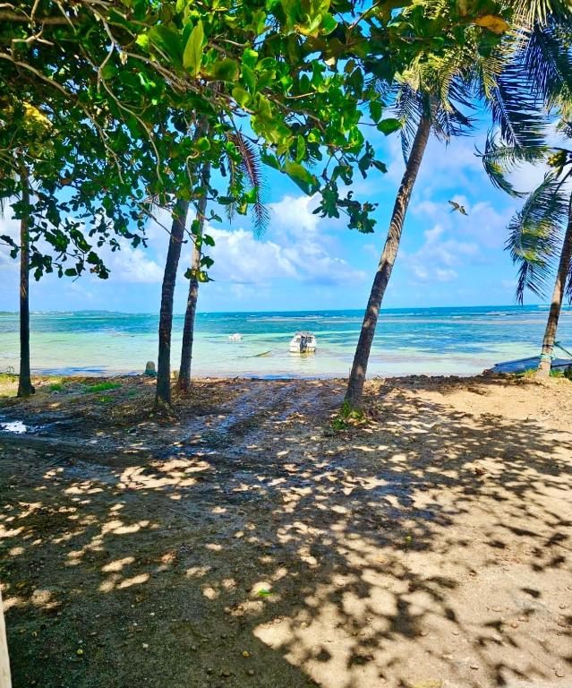 Les pieds dans l eau - Passez votre séjour littéralement sur la plage ...