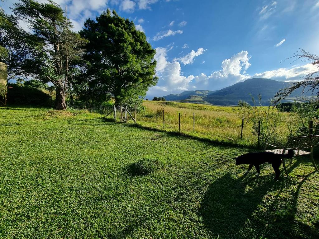 Bergview Haven, Cathkin Park (updated prices 2025)