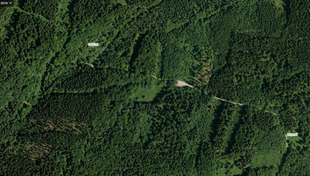 Private Meadow in the Middle of the Forest, Bytca (precios actualizados ...