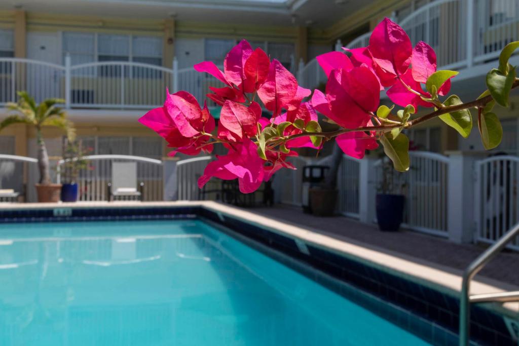 Beach Place Hotel, Miami Beach (updated prices 2025)