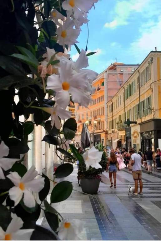 Casa Girasole Sanremo centro, Sanremo (updated prices 2024)