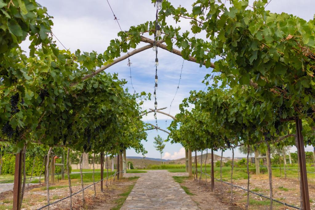 Hotel Vinícola Parvada by Lumina, Parras de la Fuente (precios ...