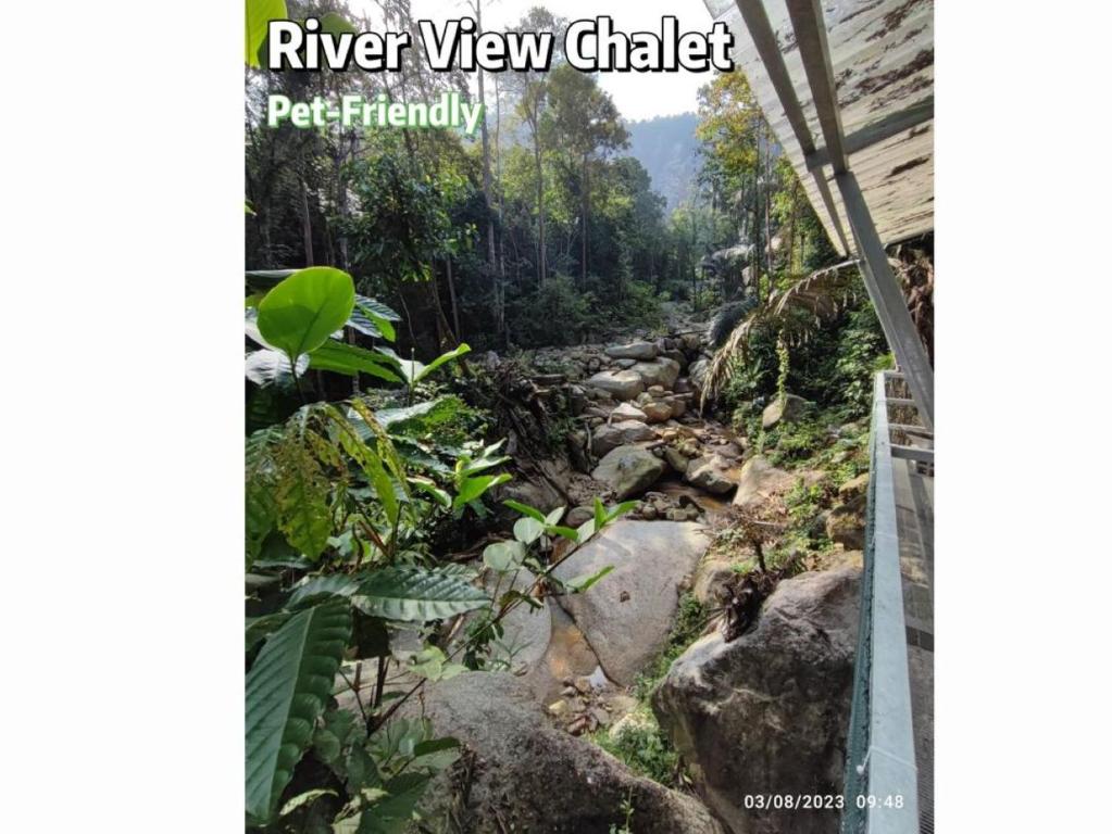 Gibbon Retreat Bentong, Bentong (updated prices 2025)