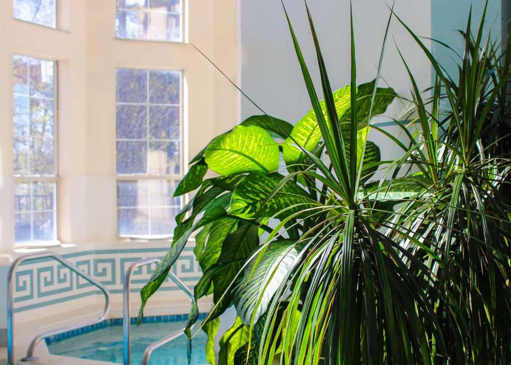 Senator Inn & Spa, Augusta (updated prices 2025)