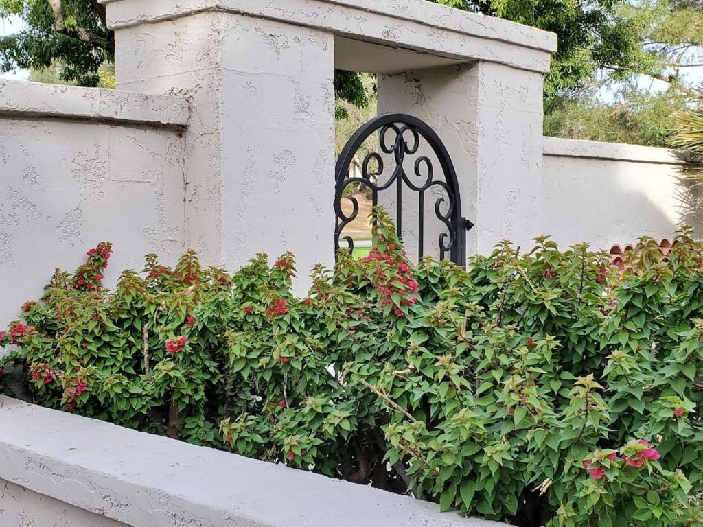 Tennis, Greenbelt, Private Courtyard Patio, Scottsdale (updated prices ...