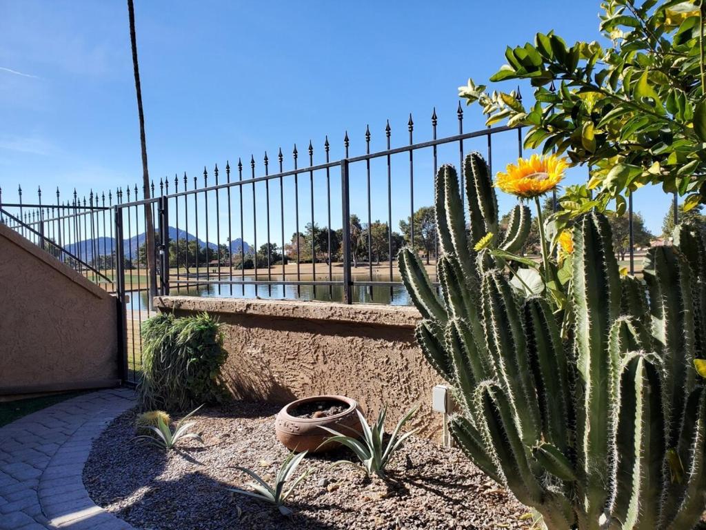 Waterfront, Camelback Mountain, Golf Course View N, Scottsdale (updated ...