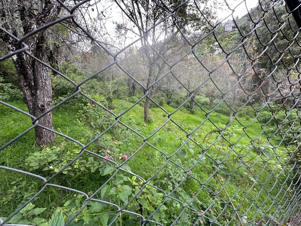 Magica Mount A Frame Wood House, Kodaikanal (precios actualizados 2025)