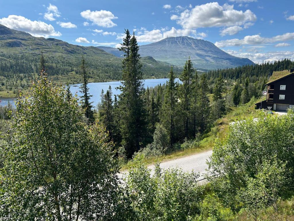 Cabin with a great view at Gaustablikk, Gaustablikk (aktualisierte ...