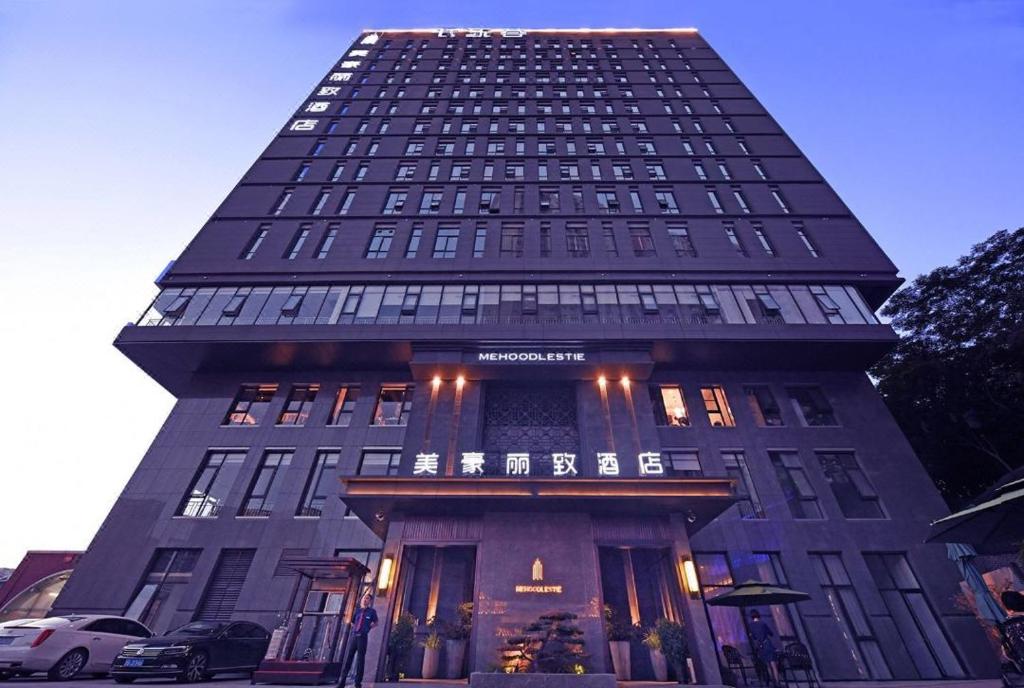 Mehood Lestie, Xi'an Jiaotong University Xijing Hospital Changle Park ...