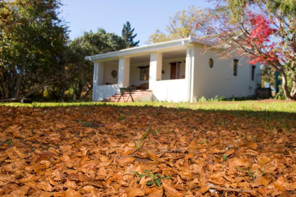 Khayalethu Cottage, Hogsback (updated prices 2025)