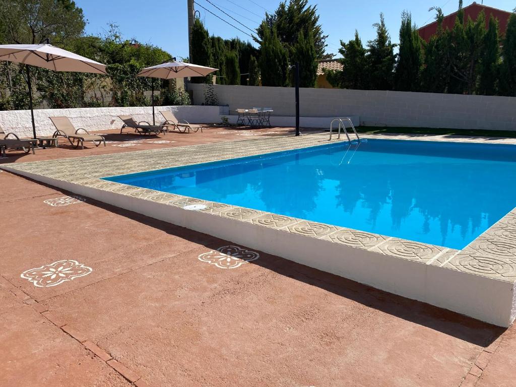 Rey Elzinga, Godelleta (preços atualizados 2025)