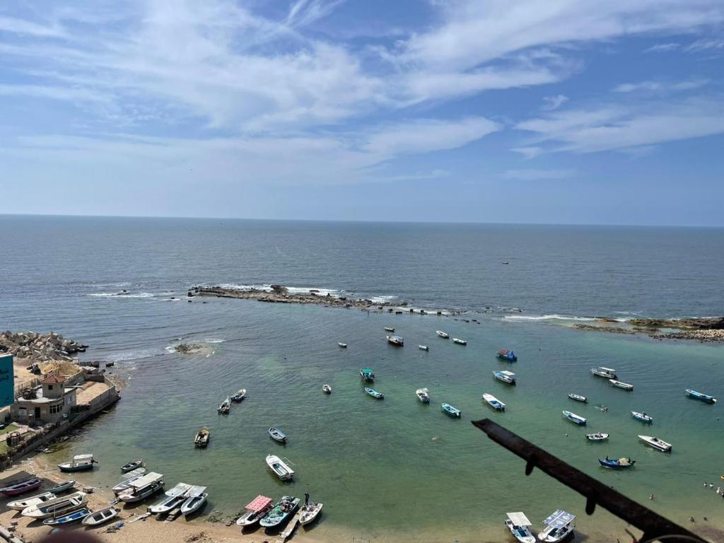 شقة فندقية علي البحر مباشرة جزيرة ميامي, Alexandria (updated prices 2025)