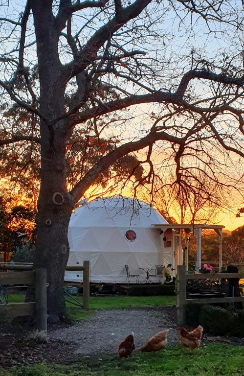 Counting Stars, Yarragon (updated prices 2026)