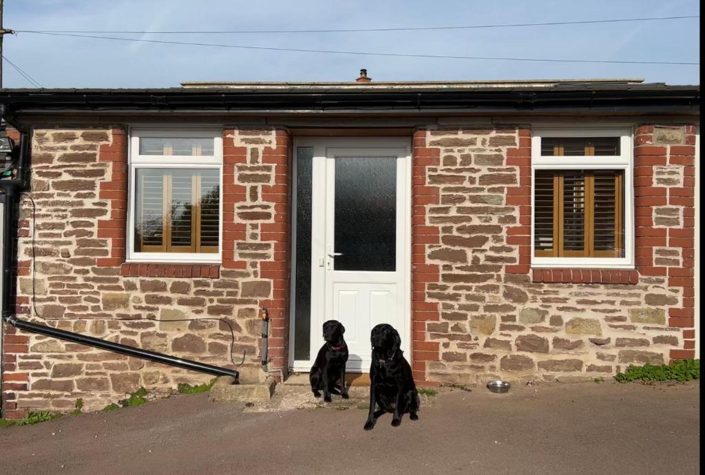 The Netherend Inn - Pet Friendly Haven, Lydney (updated prices 2026)