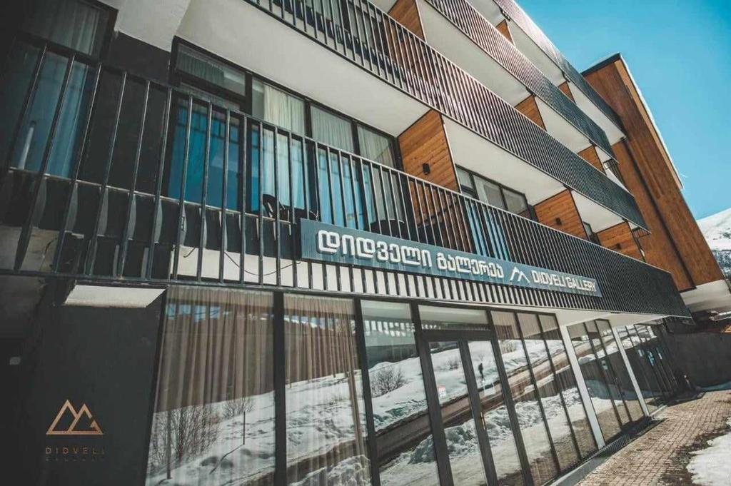 Didveli gallery bakuriani Room A102, Bakuriani (updated prices 2025)